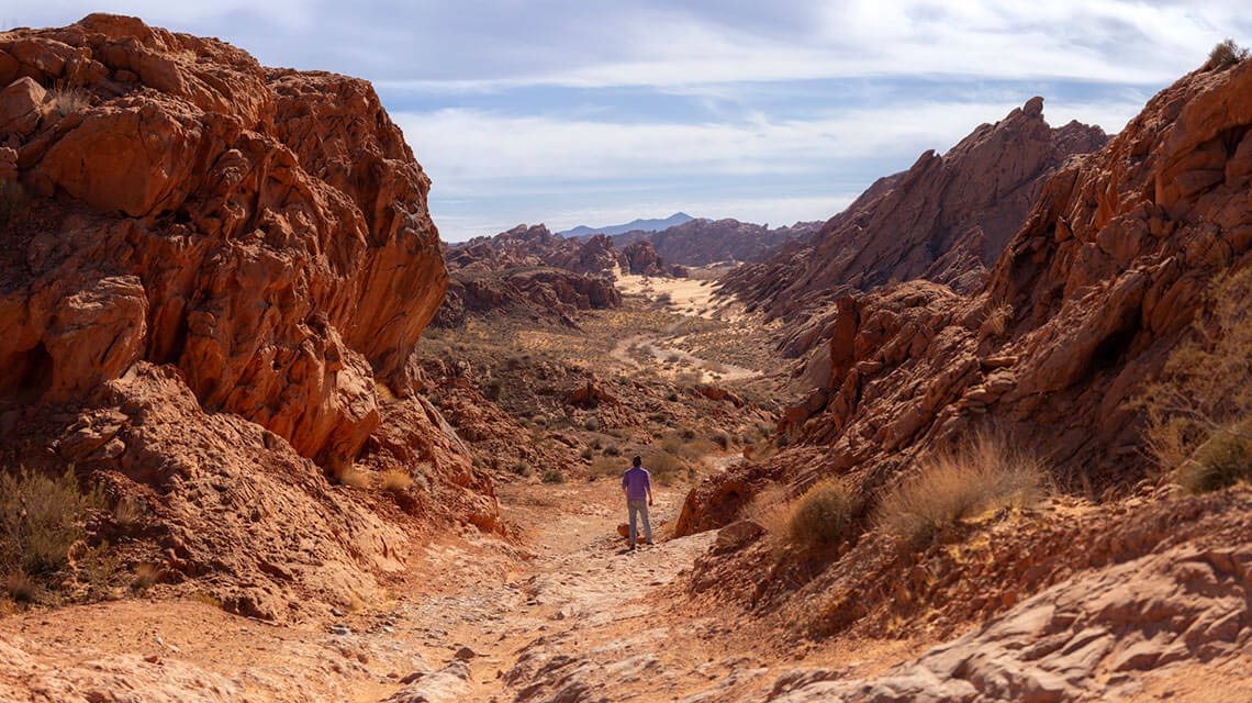 Logandale Trails | OHV & Hiking Trails Near Moapa Valley, Nevada