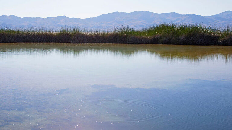 10 Nevada Hot Springs Pairings | Hot Springs in Nevada