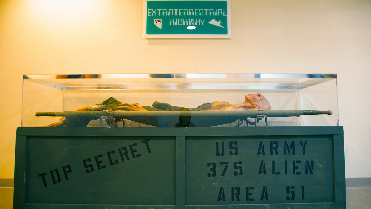 Alien Research Center | Gift Shop | See Them Aliens