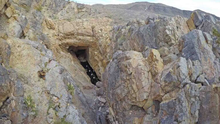 7 Facts About The Devils Hole Pupfish | Rarest Fish in the World