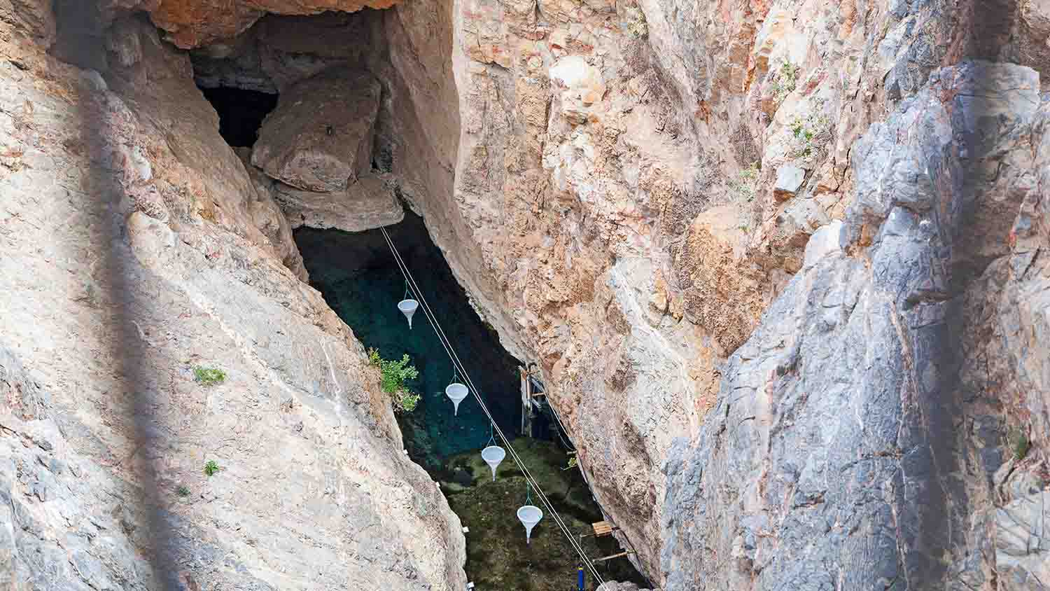 7 Facts About The Devils Hole Pupfish | Rarest Fish in the World
