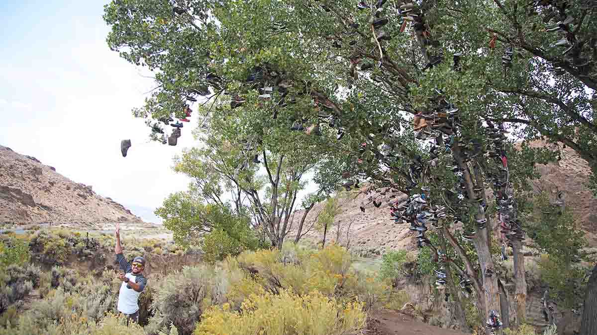 Weird Nevada Wonders | Unique Things to Do in Nevada