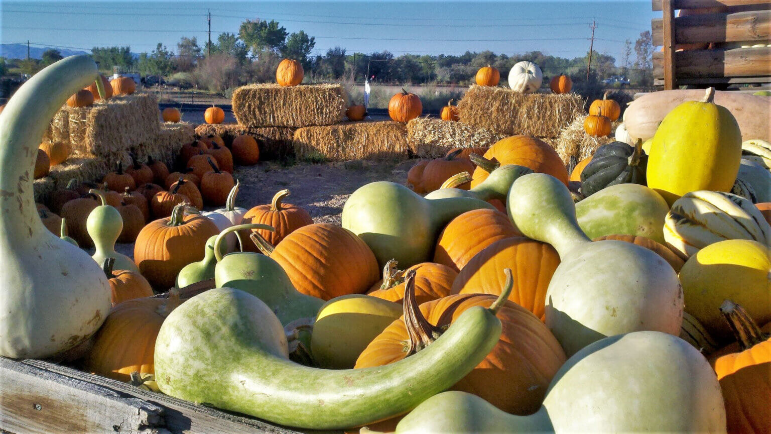 Ely Nevada | Ely Nevada Hotels | Ely Restaurants