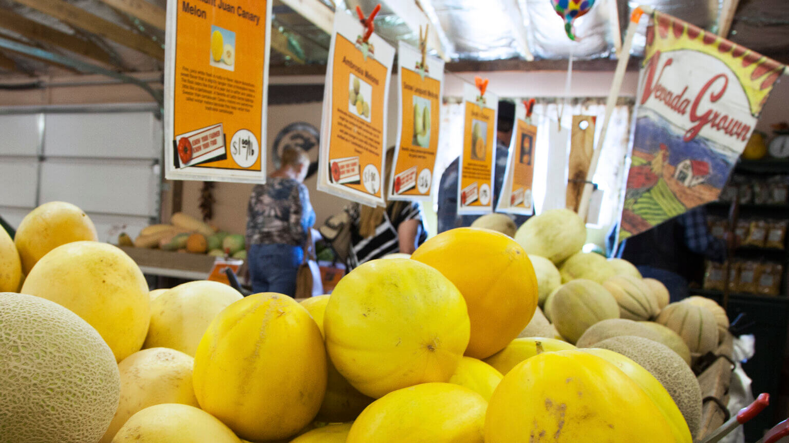 David Walley's Resort | Visit David Walley's Hot Springs Resort