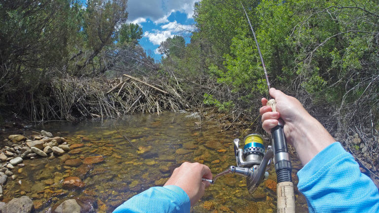Jarbidge Nevada | Jarbidge Wilderness Area | Jarbidge History