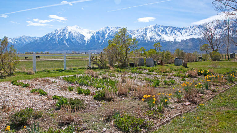 Carson Valley Nevada | Carson City and Lake Tahoe