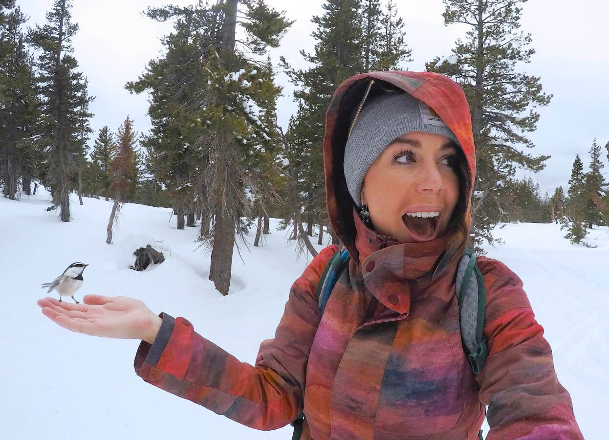 Nevada Winter Sports | Winter Activities & Sports in Nevada