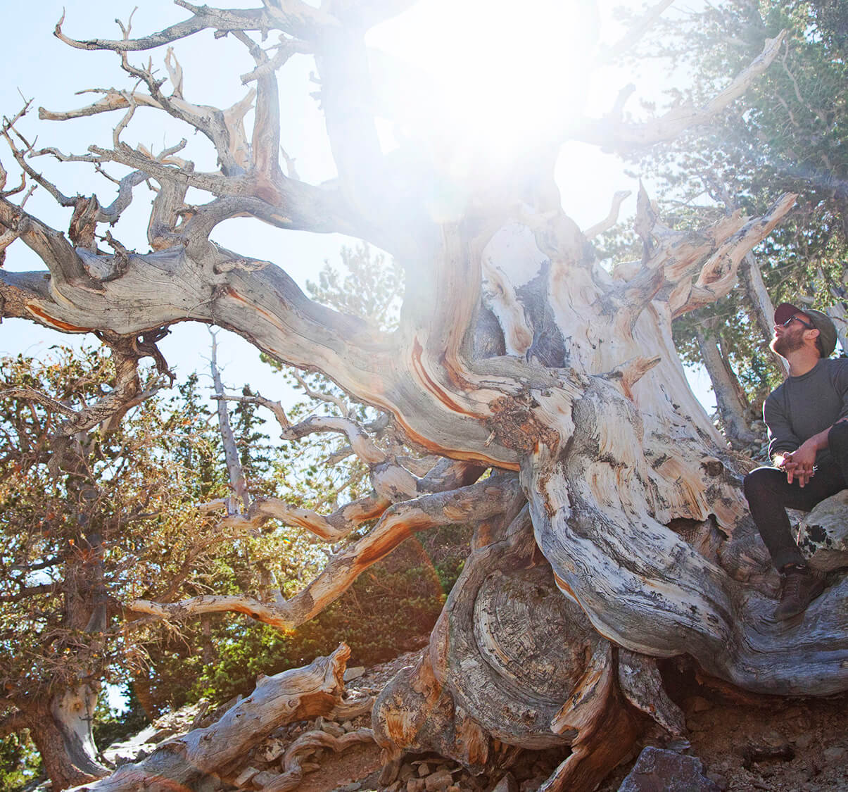 Nevada State Parks | Nevada National Parks | Travel Nevada