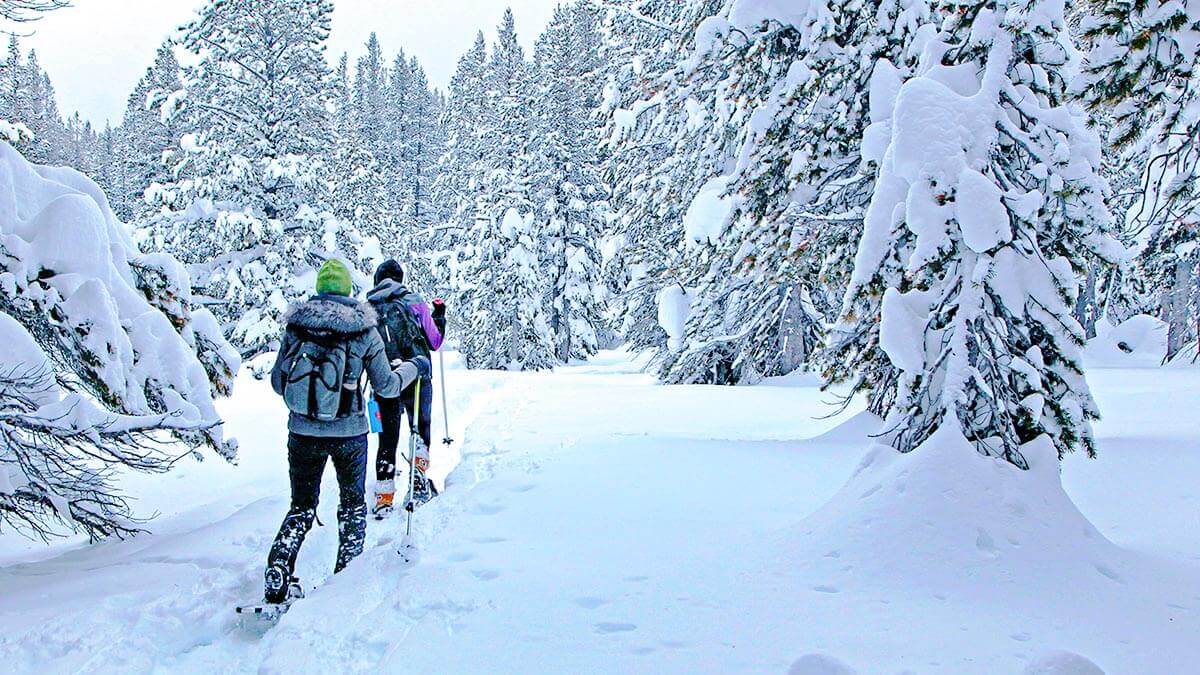 Winter Sports in Nevada | Things To Do in Nevada in Winter