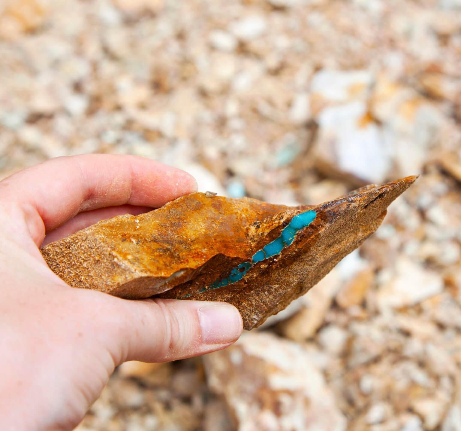 Nevada Facts | Frequently Asked Questions | Myth vs Fact