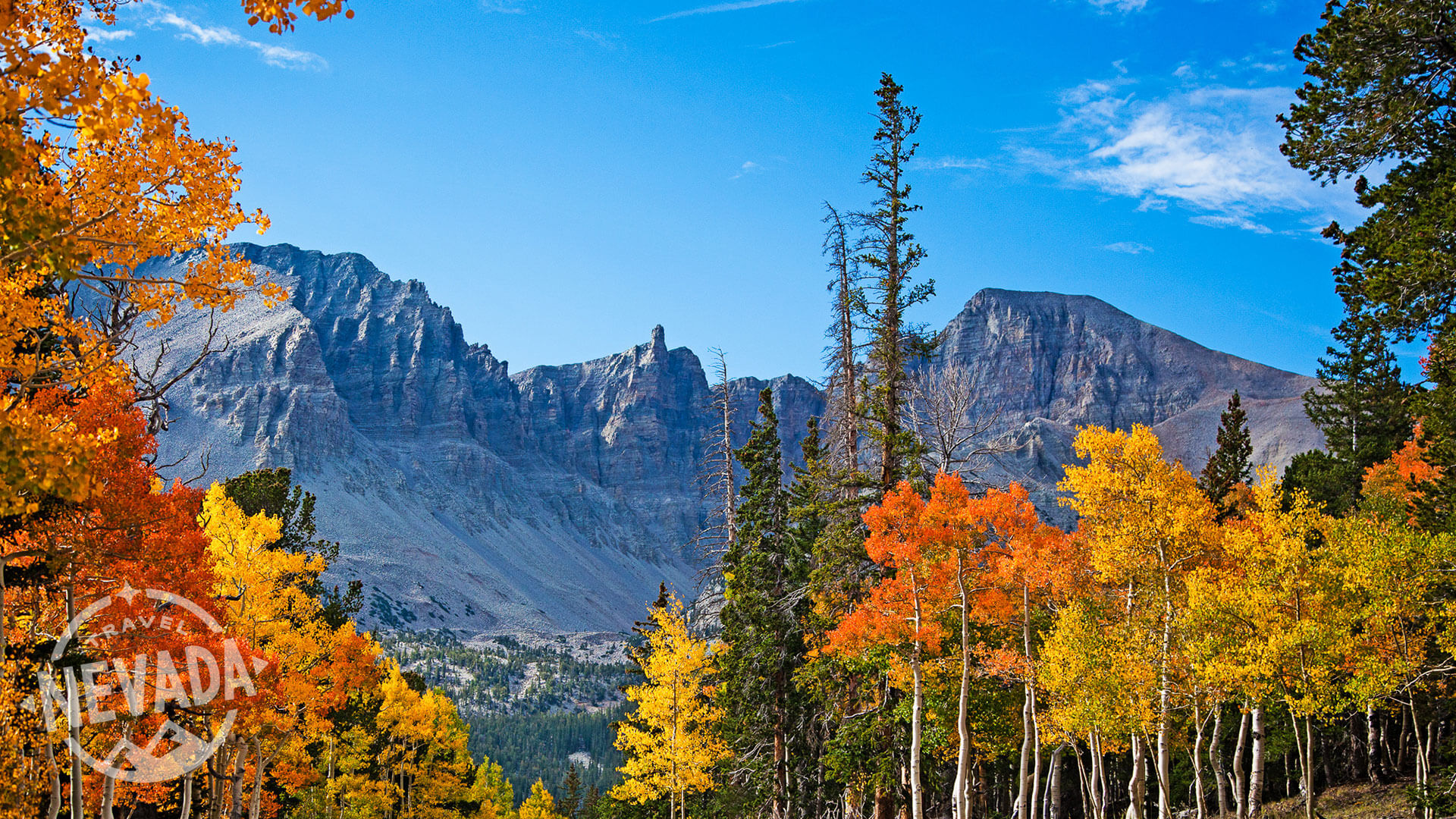 Zoom Backgrounds | Virtual Nevada | Travel Nevada