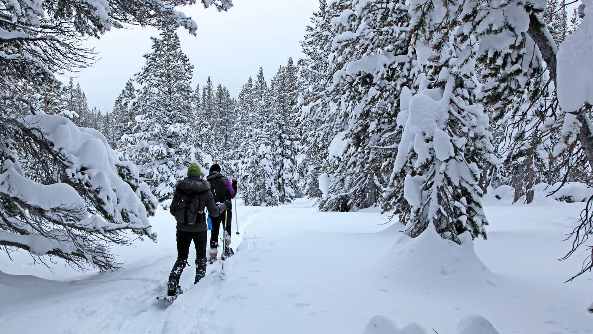 Winter Sports in Nevada | Nevada Winter Activities | Travel Nevada