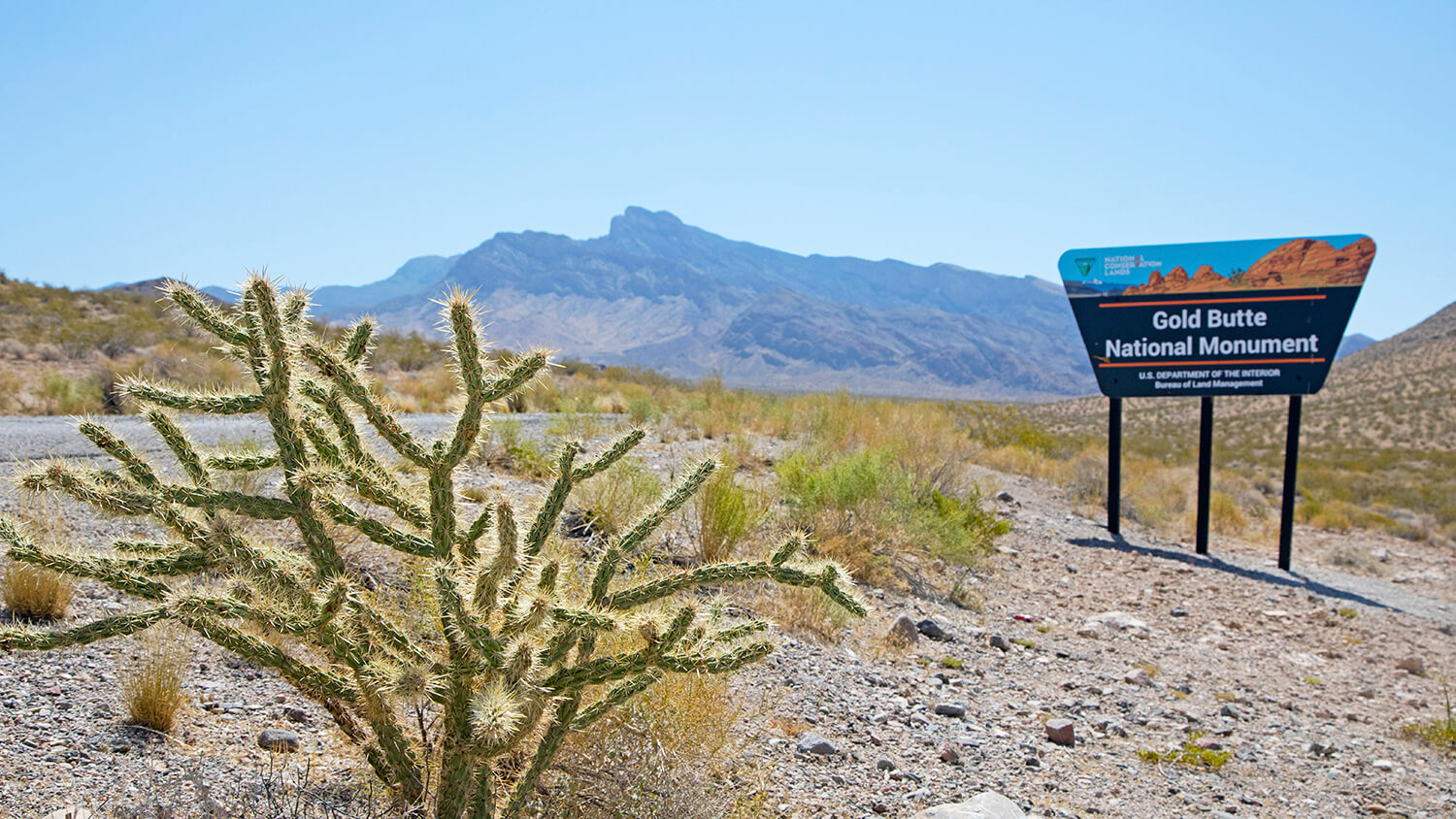 Gold Butte National Monument | Mesquite, NV | Travel Nevada