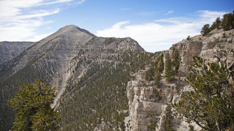 Spring Mountains National Recreation Area | Mary Jane Falls