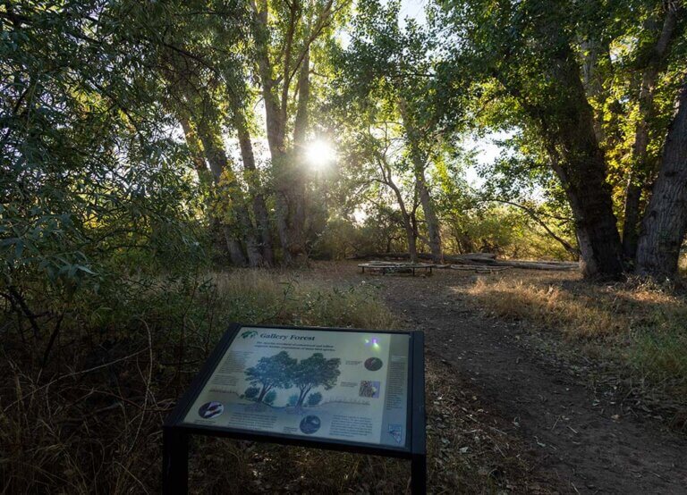 Oxbow Nature Study Area | Outdoor Recreation in Reno, Nevada