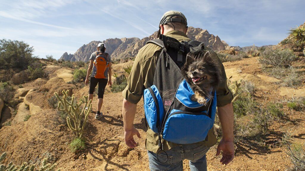 How to Safely Enjoy Nevada's Outdoors | Recreate Responsibly