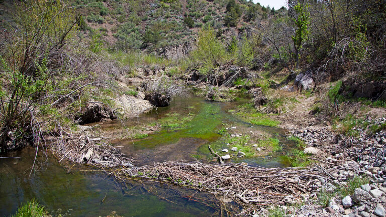 6 Ways To Get Into Nevada's Biggest Pocket of Parks | NV State Parks