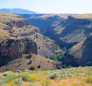 Jarbidge Nevada | Jarbidge Wilderness Area | Jarbidge History