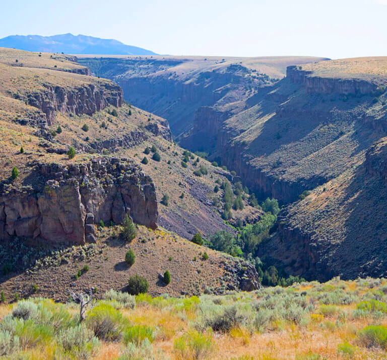 Jarbidge Nevada | Jarbidge Wilderness Area | Jarbidge History