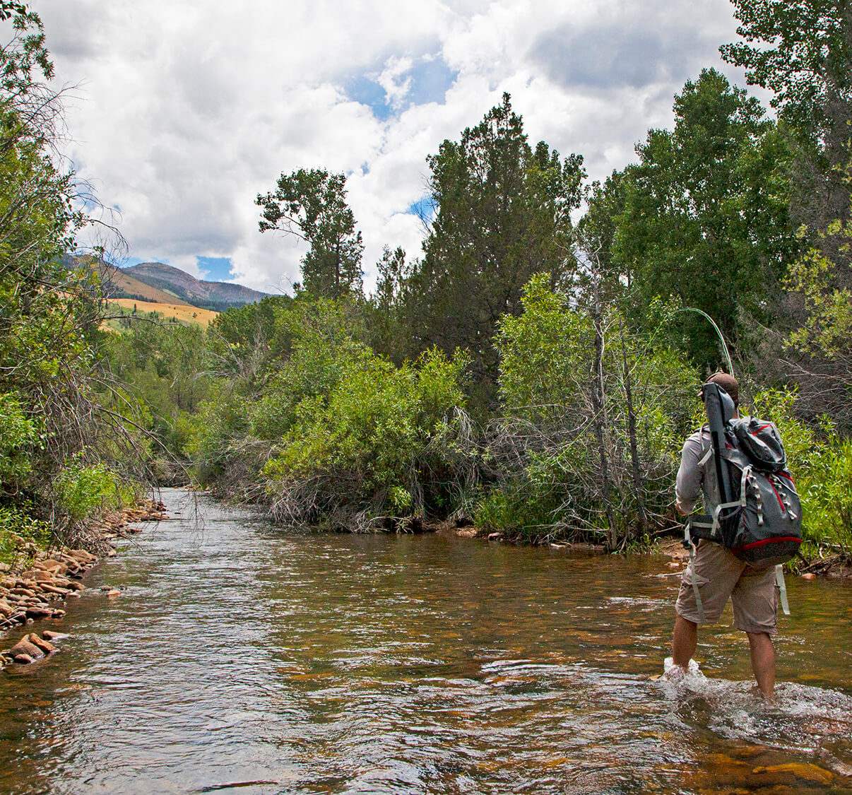 Jarbidge Nevada | Jarbidge Wilderness Area | Jarbidge History