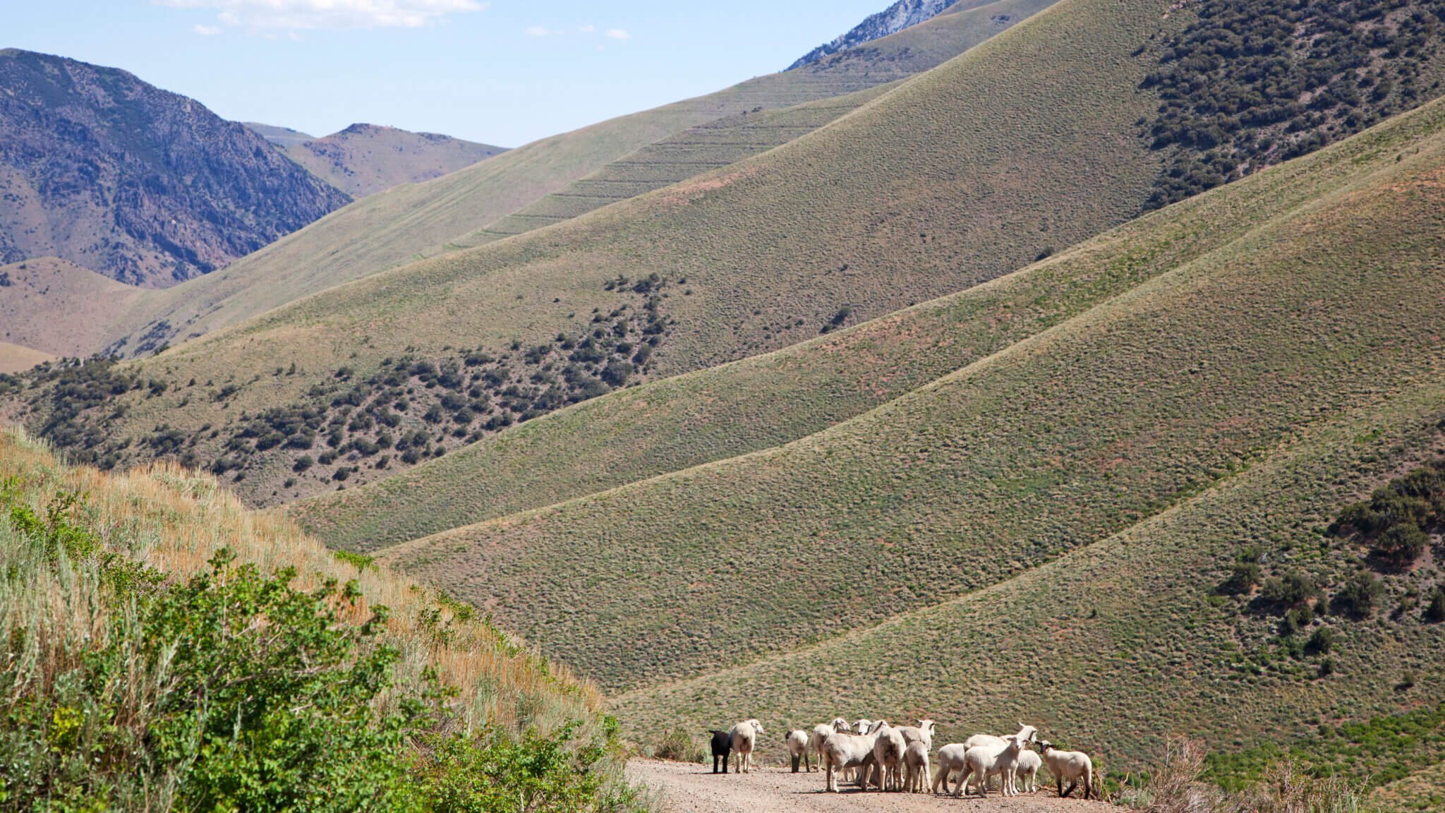 10 Reasons to Visit the Small Town of Austin, Nevada