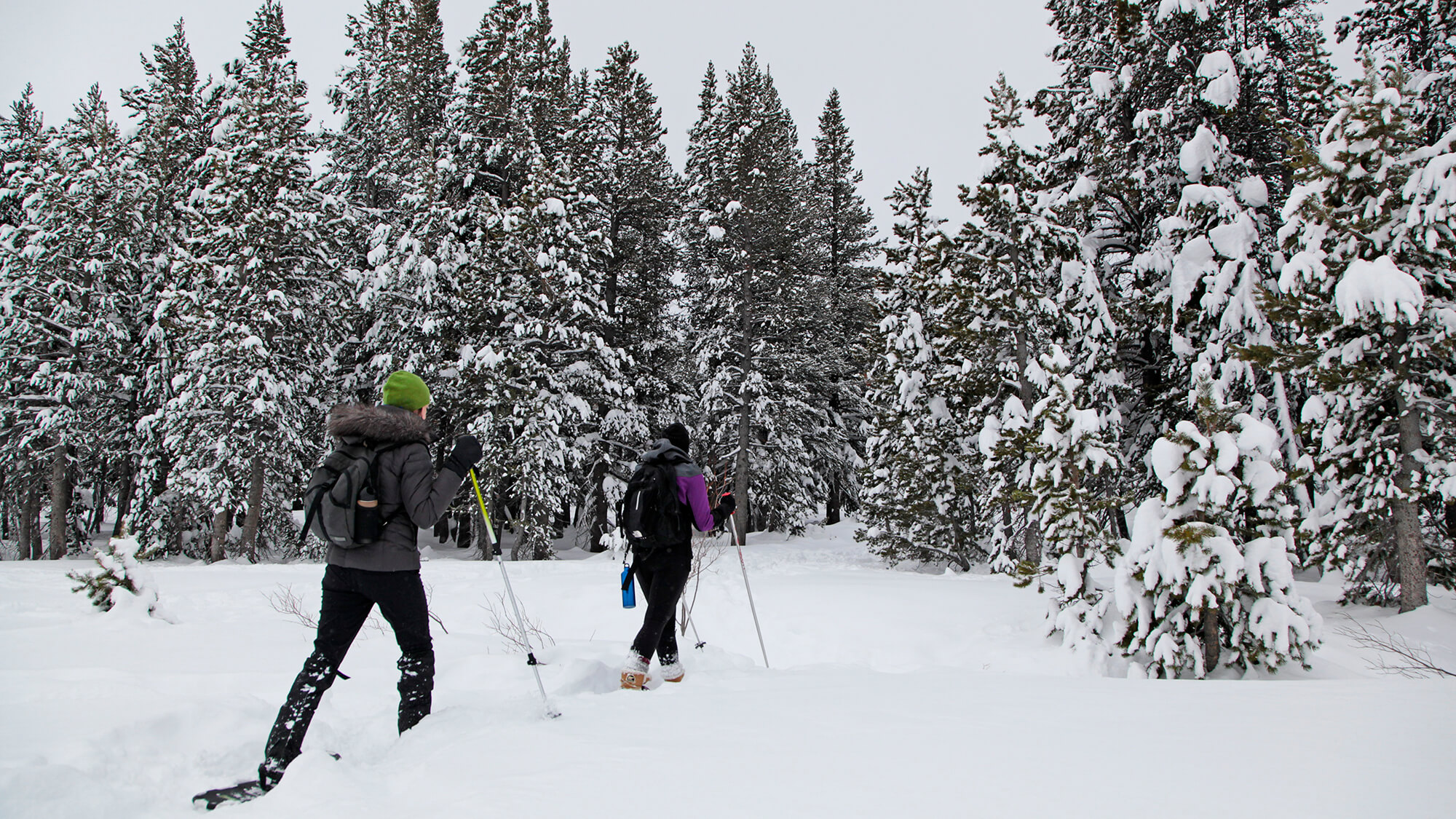 Spooner Lake | Lake Tahoe Nevada State Park | Tahoe Camping