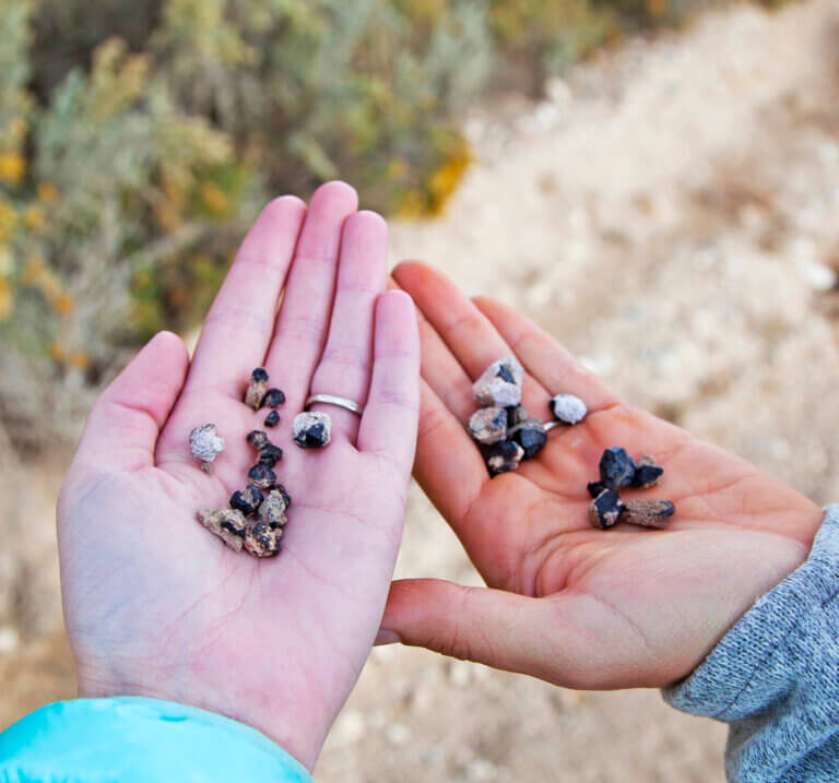 Ely Nevada | Ely Nevada Hotels | Ely Restaurants