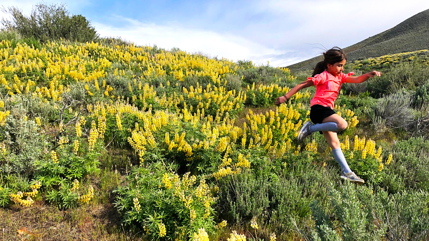 Travel Nevada | Nevada Vacations, Hotels, Events, Trips & Attractions