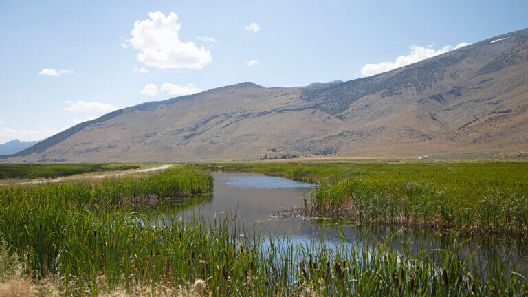Ruby Mountains Nevada Summertime Activities | Lamoille Canyon