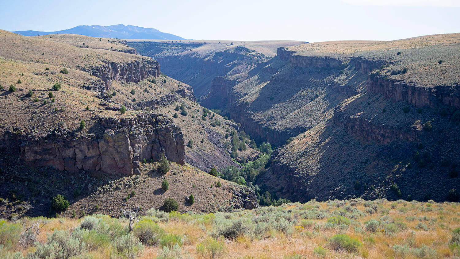 Jarbidge Wilderness Area Nevada | Jarbidge River Info & Map