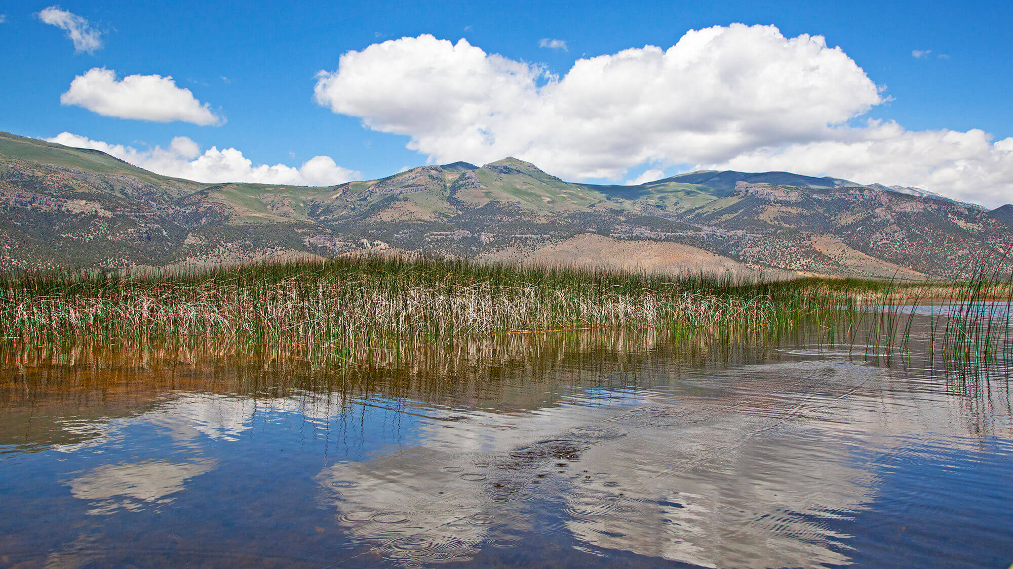 Ruby Lake National Wildlife Refuge | Ruby Lake Campground
