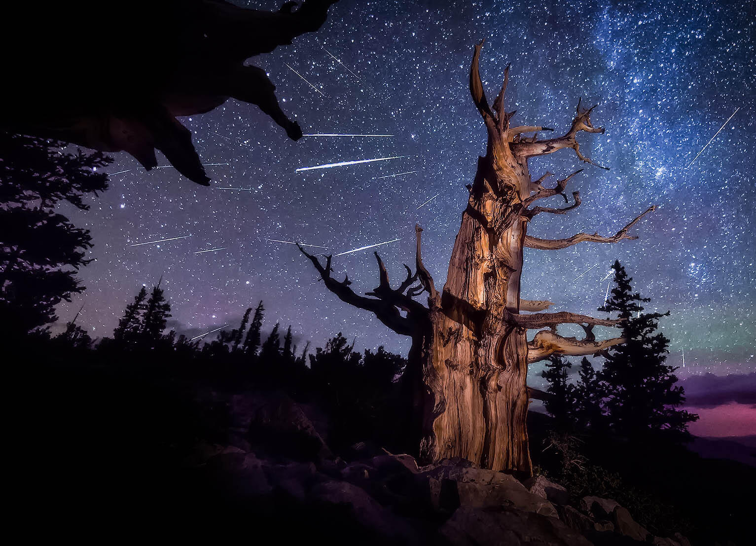 Baker, Nevada | Hotels, Restaurants, History, and Things to Do