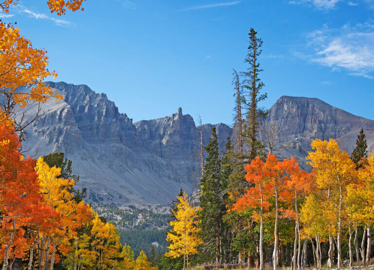 Baker, Nevada | Hotels, Restaurants, History, and Things to Do