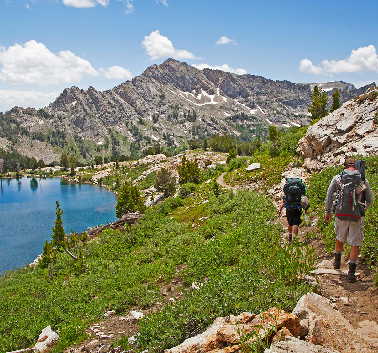Lamoille Nevada | Lamoille Canyon Camping