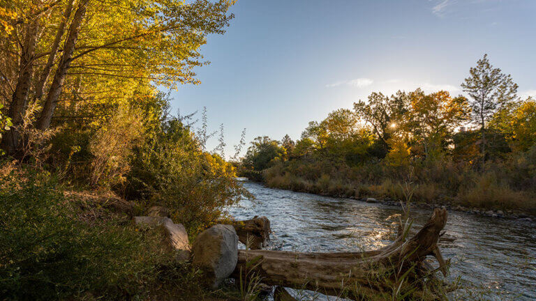 Finding Fall Colors in Northern Nevada