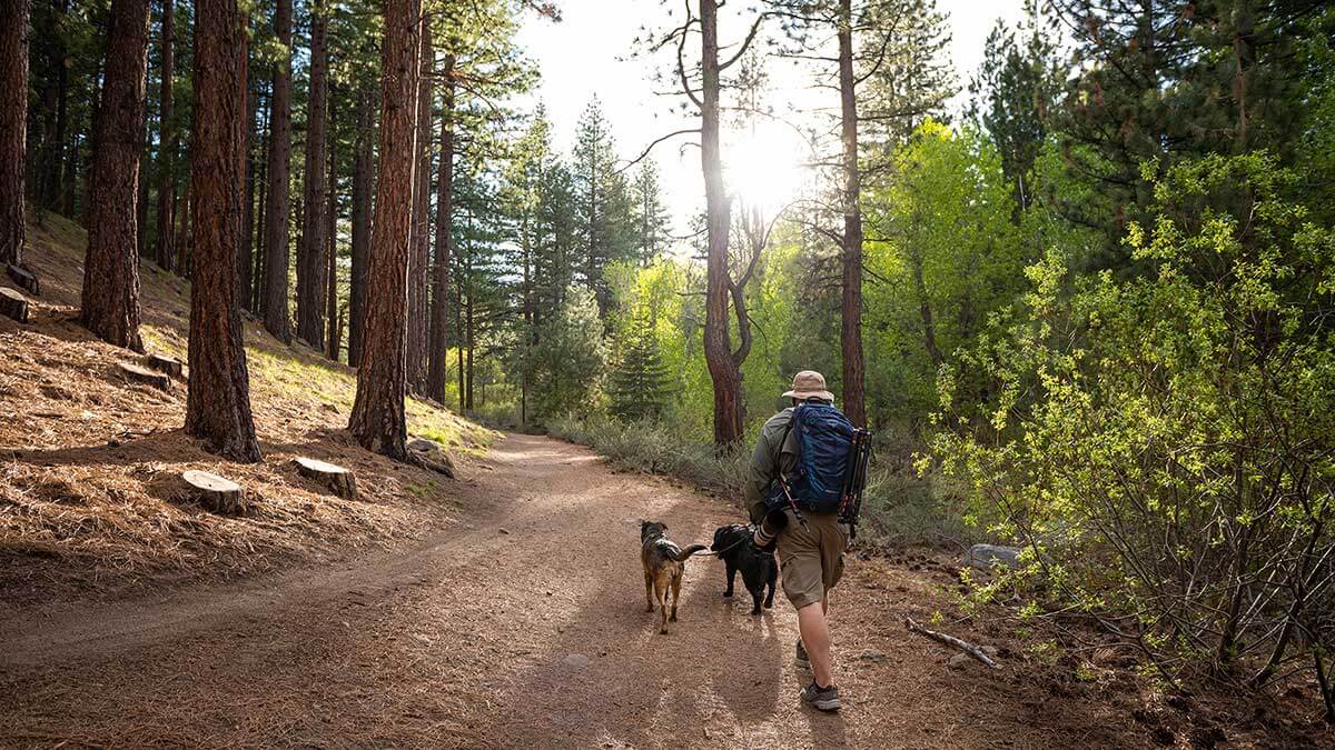 Hiking Near Reno | Explore Hikes in Reno | Travel Nevada