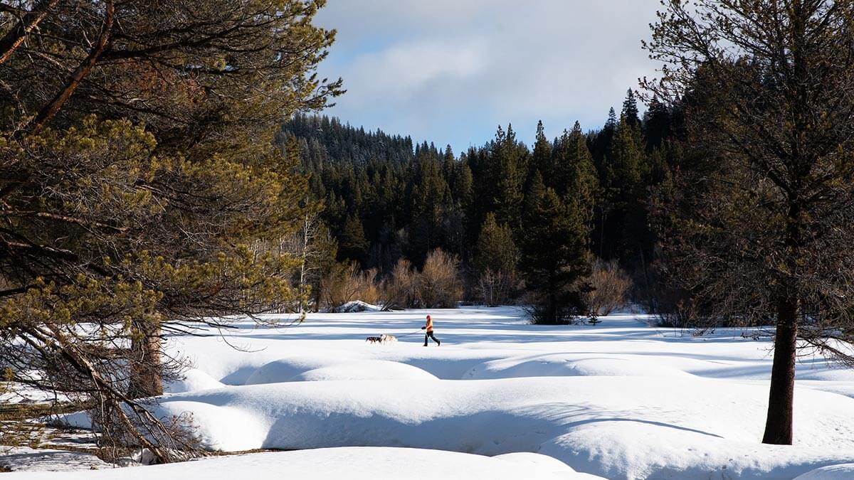 Nevada Winter Sports | Winter Activities & Sports in Nevada