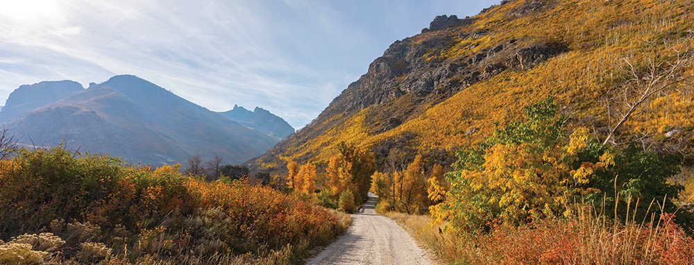 Canyon Valley Color