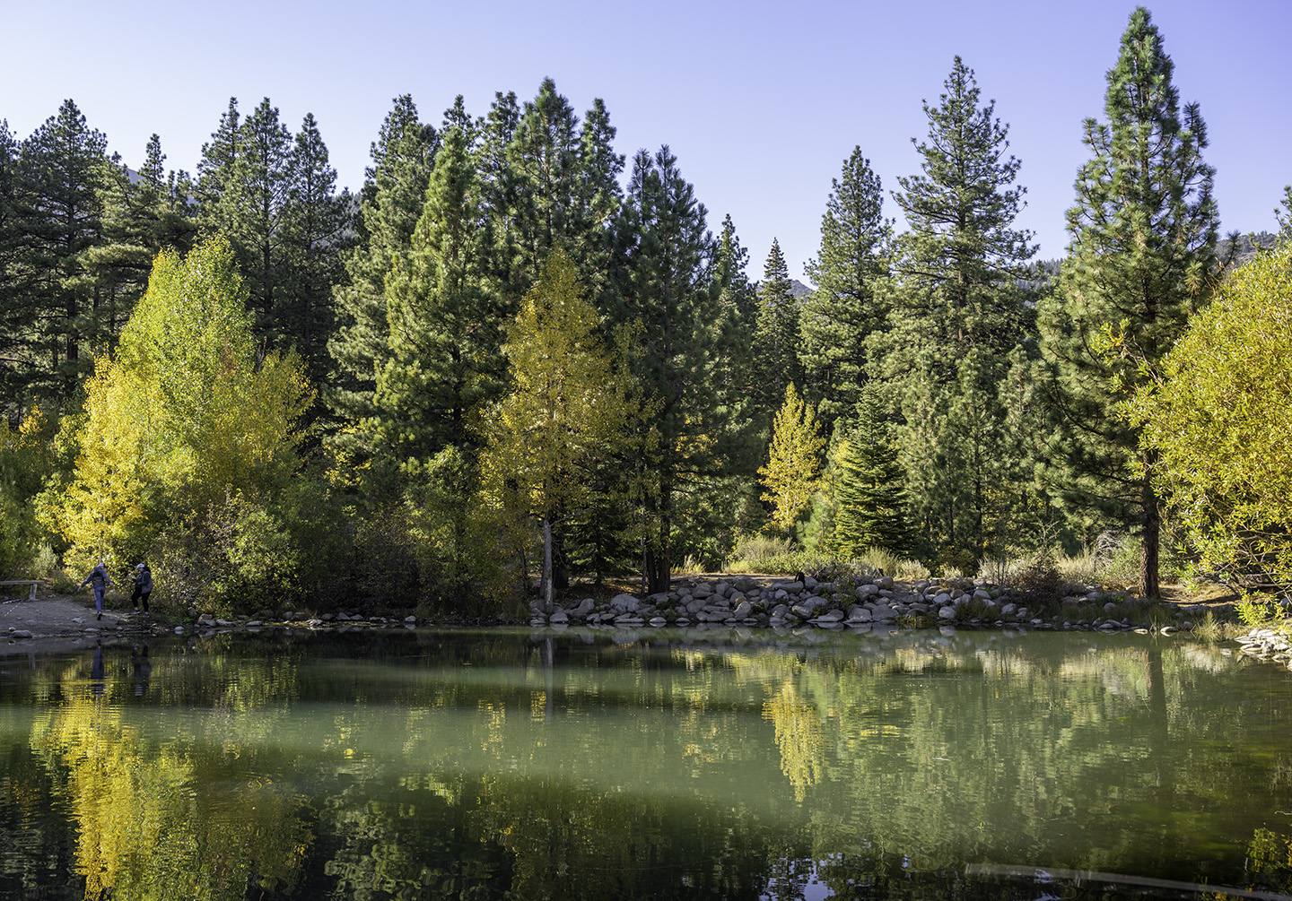 A Paradise Named Galena - Travel Nevada