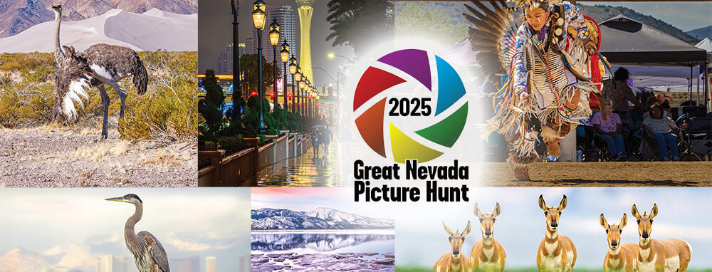 Wildlife in Nevada | Nevada Animals | Wildlife Refuges