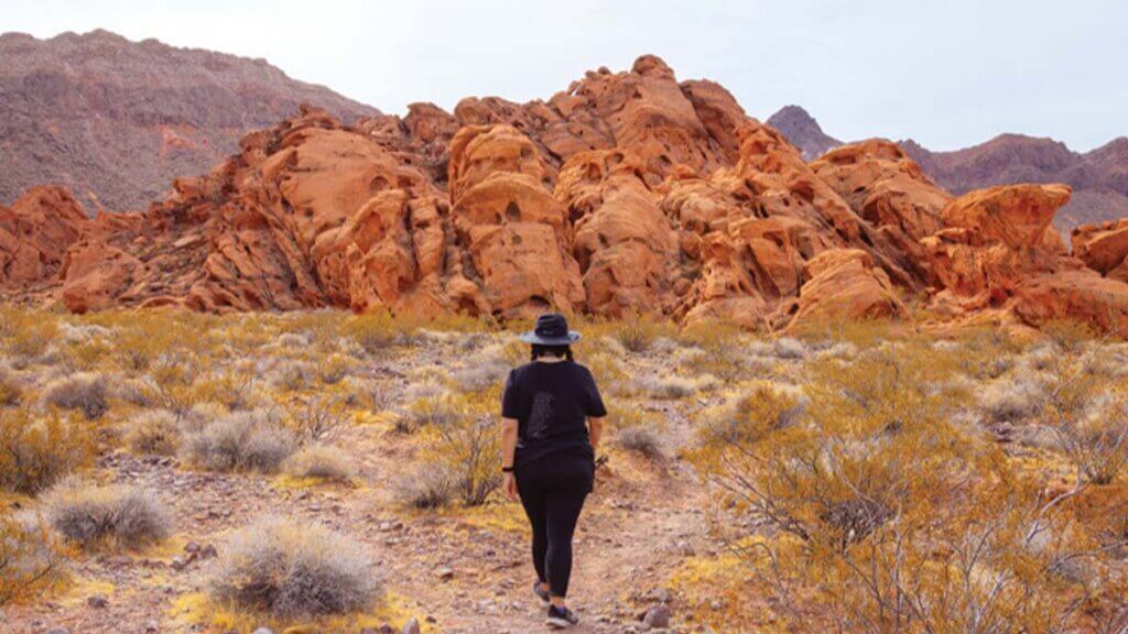 Best Things to Do in Nevada | Things to See in Nevada