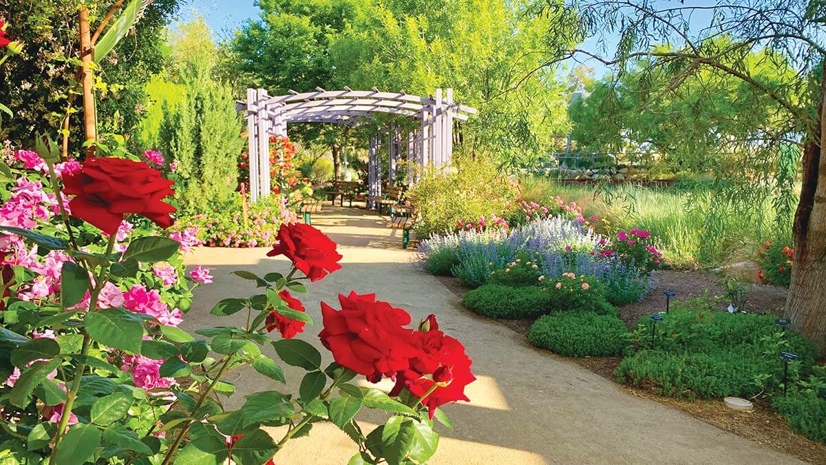 Vegas' Green Gamble | Sustainability at the Springs Preserve