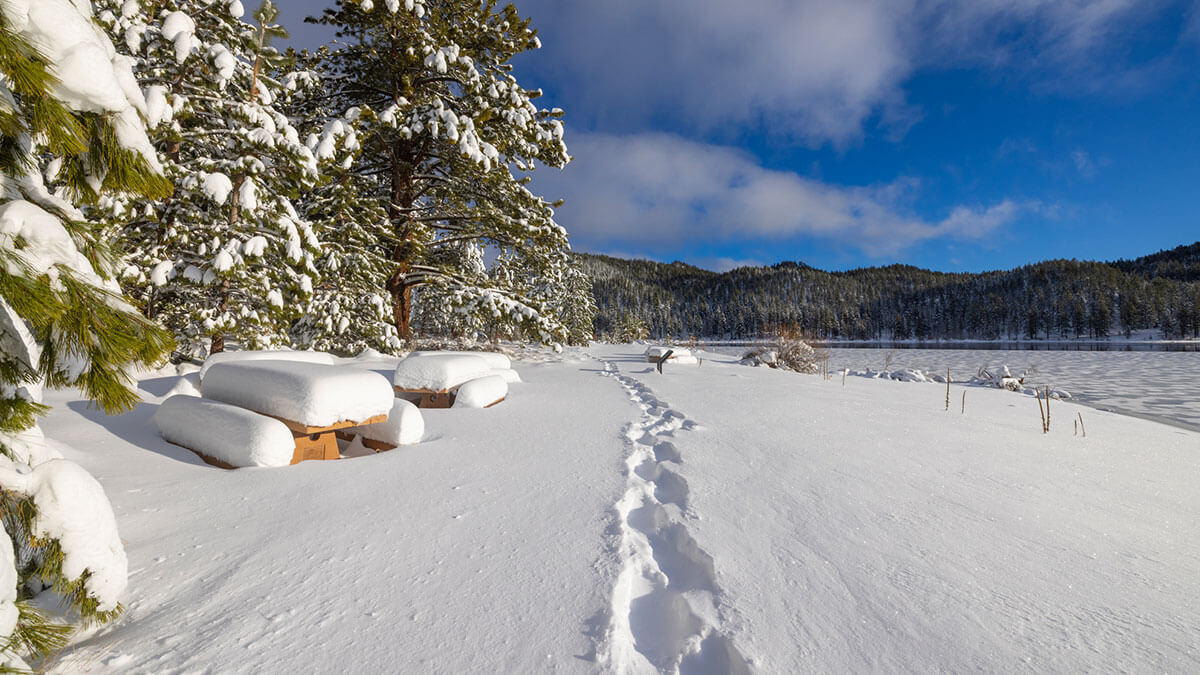Nevada Winter Activities | Things To Do in Winter in Nevada